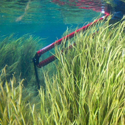 Power-Pole Blade Shallow Water Anchor | Red, 10 ft Signature Series